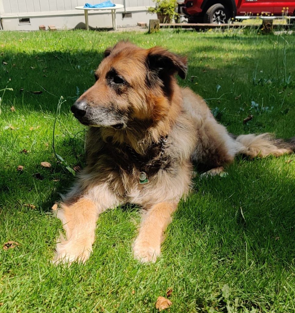 Testimonials – Consistent Caring